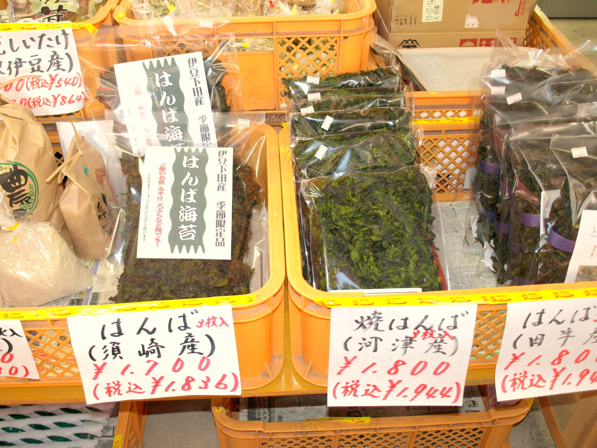 河津桜帰りは下田の激安！超穴場！新鮮！地場産売店に行くよ～ | こごみんブログ